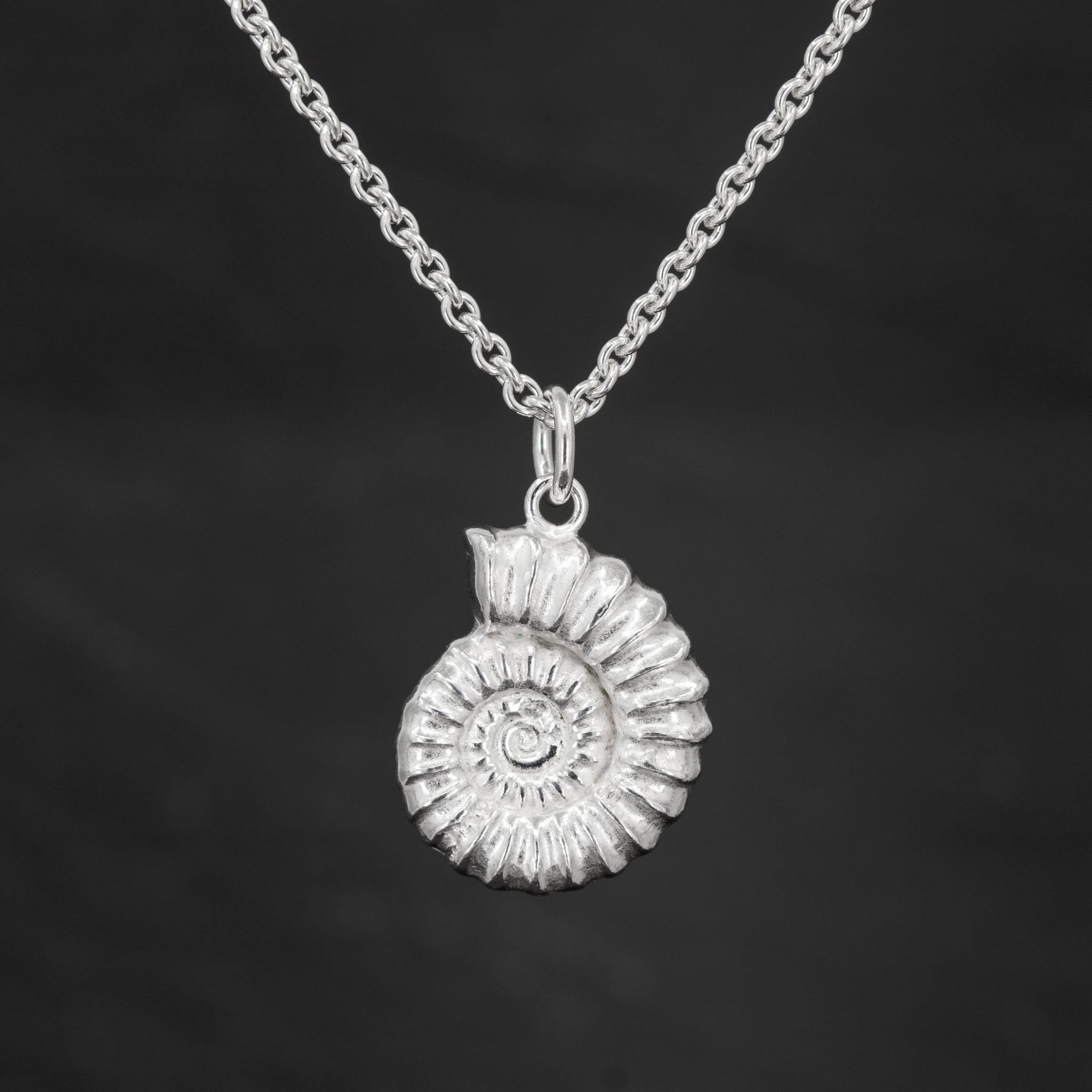 Large Dorset Ammonite pendant – Ladytree Designs
